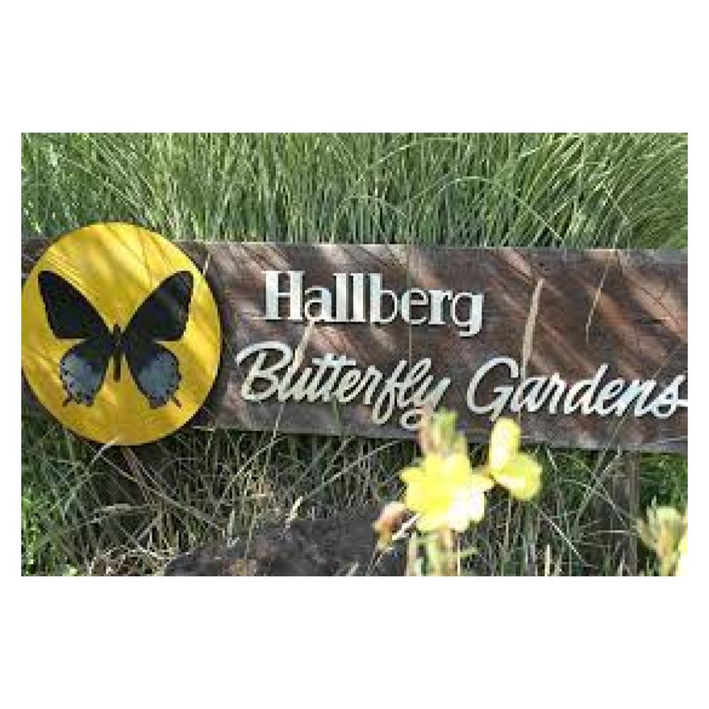 Hallberg Butterfly Gardens - Animals, Environment - US, California